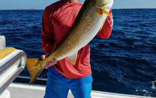 Photo Gallery - Destin Inshore Fishing Company